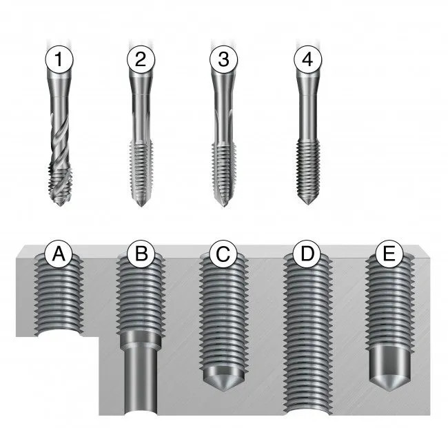 Cách phân loại taro chuẩn nhất - P1 - Cleveland chính hãng